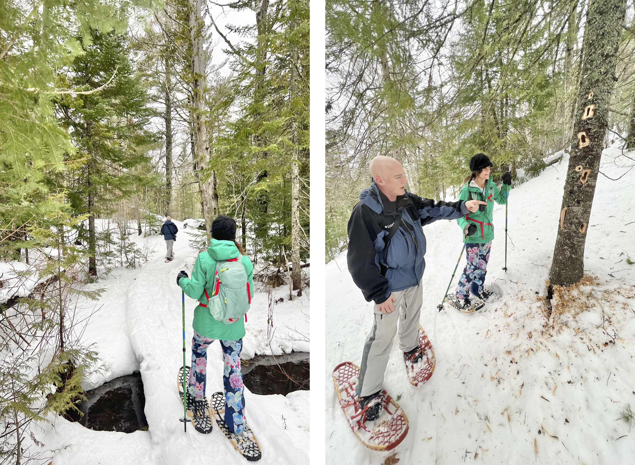 2024 Snowshoe Hare Recap – Guided Ecological Snowshoe Hike – Keweenaw ...